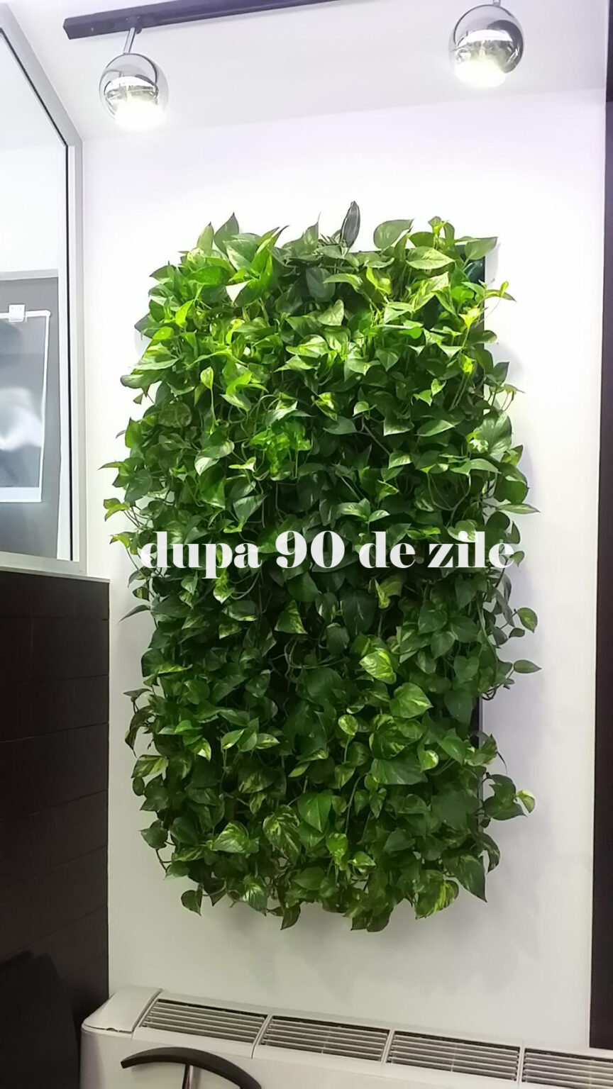 Gradini verticale la birou - Verde la Birou