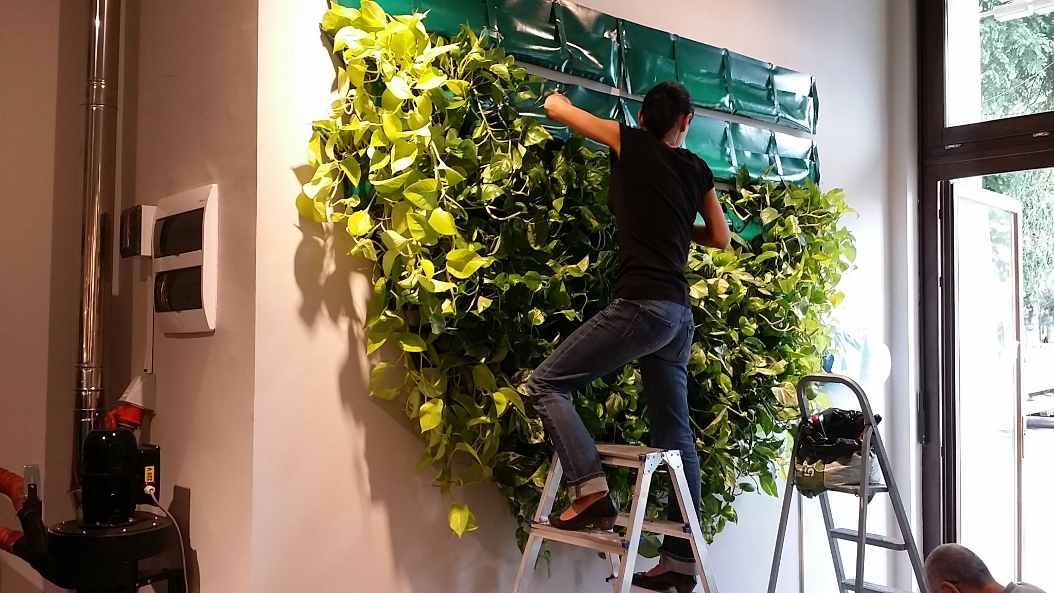 Gradini verticale la birou - Verde la Birou